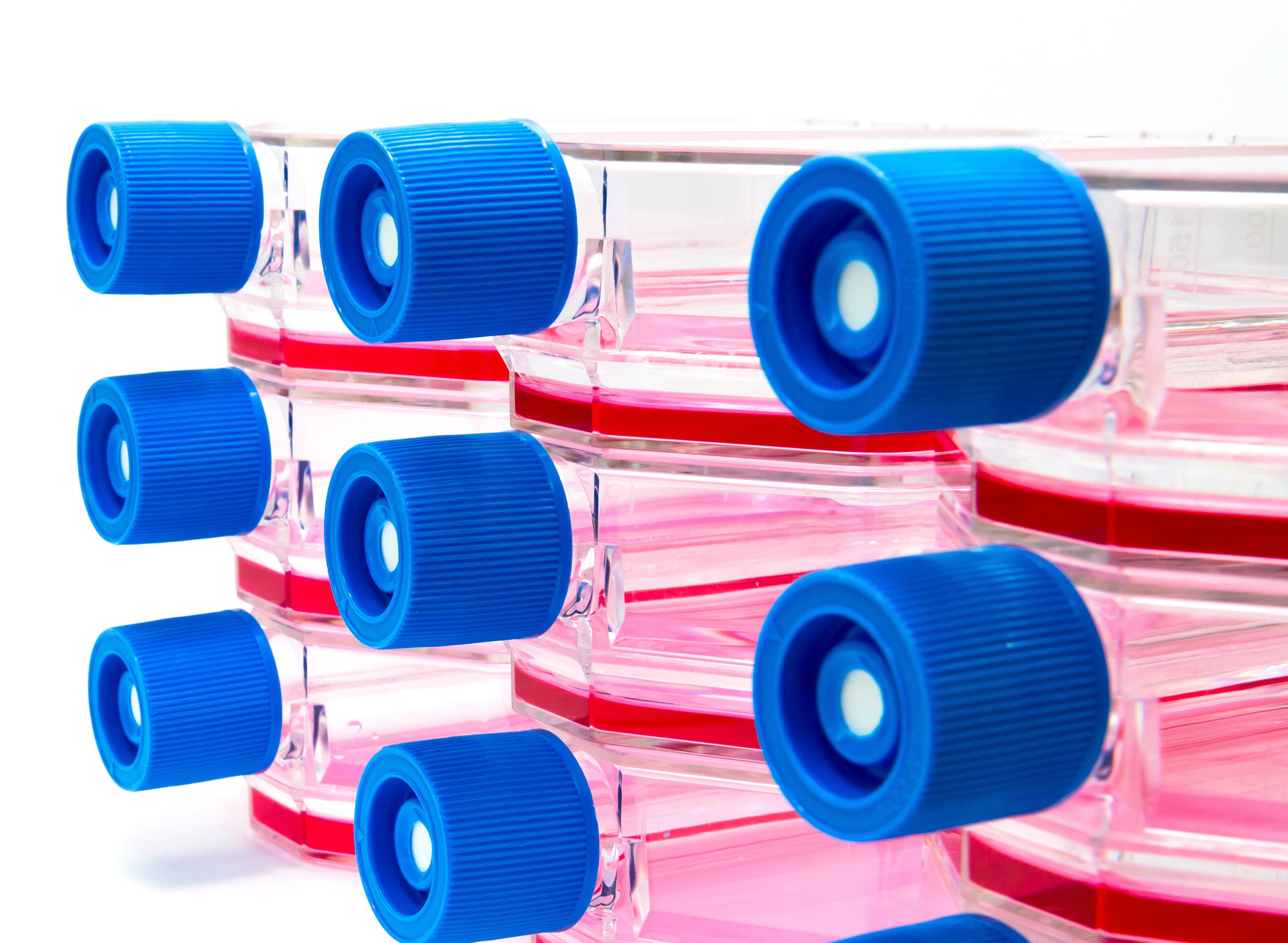 Optimizing Bioburden Reduction Filtration in Saline Solutions