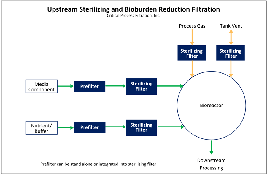 Sterile Filtration and Bioburden Control for the Processing of Biologics